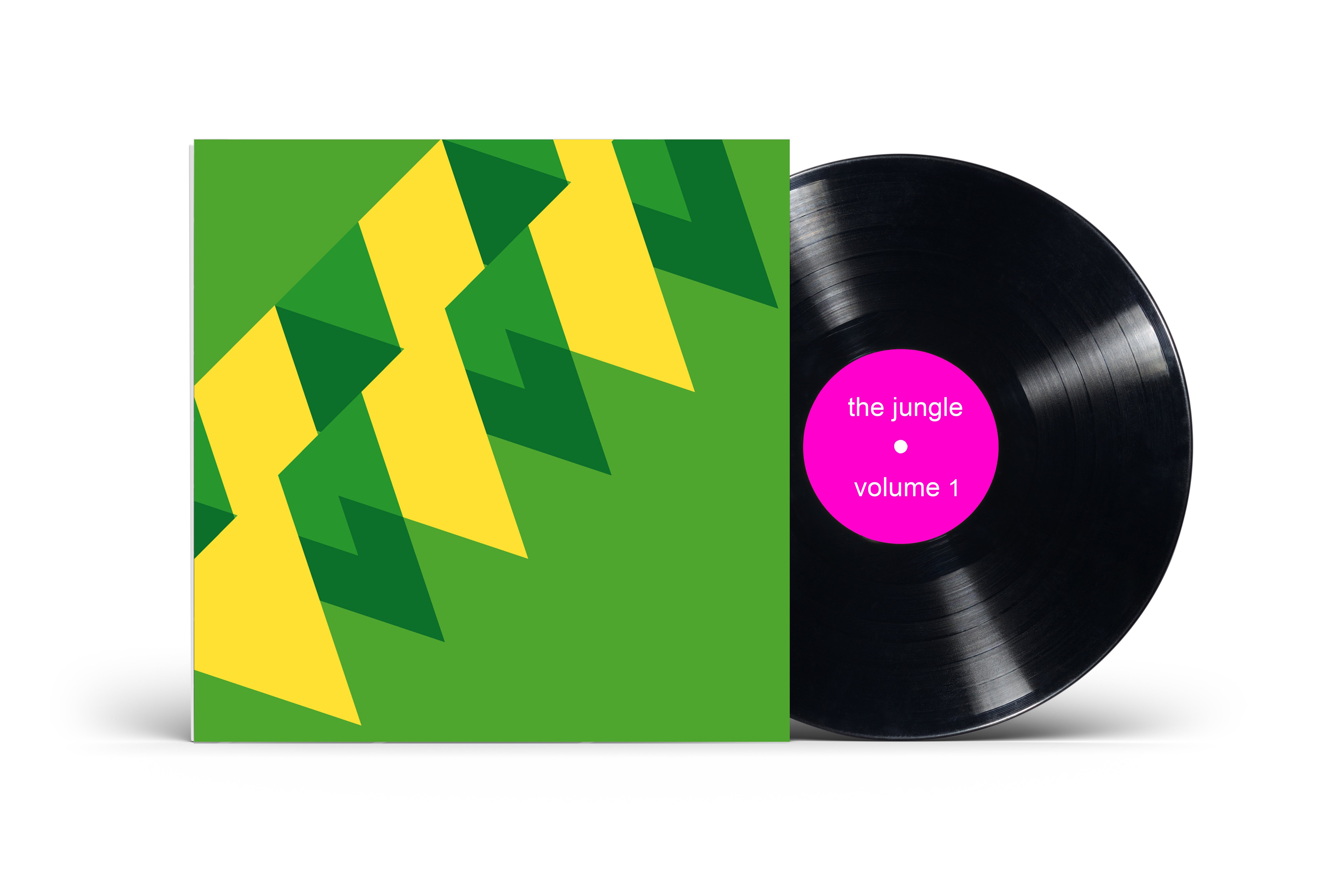 12" PACKAGE - FULL COLOUR PRINT OPTIONS – The Jungle Record Press